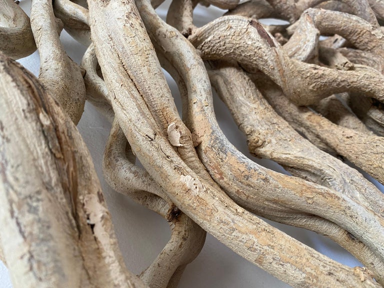 Twisted Liana Vine Wall Art at 1stDibs