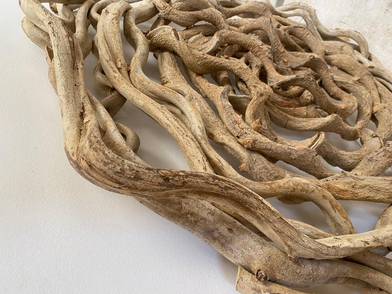Twisted Liana Vine Wall Art at 1stDibs