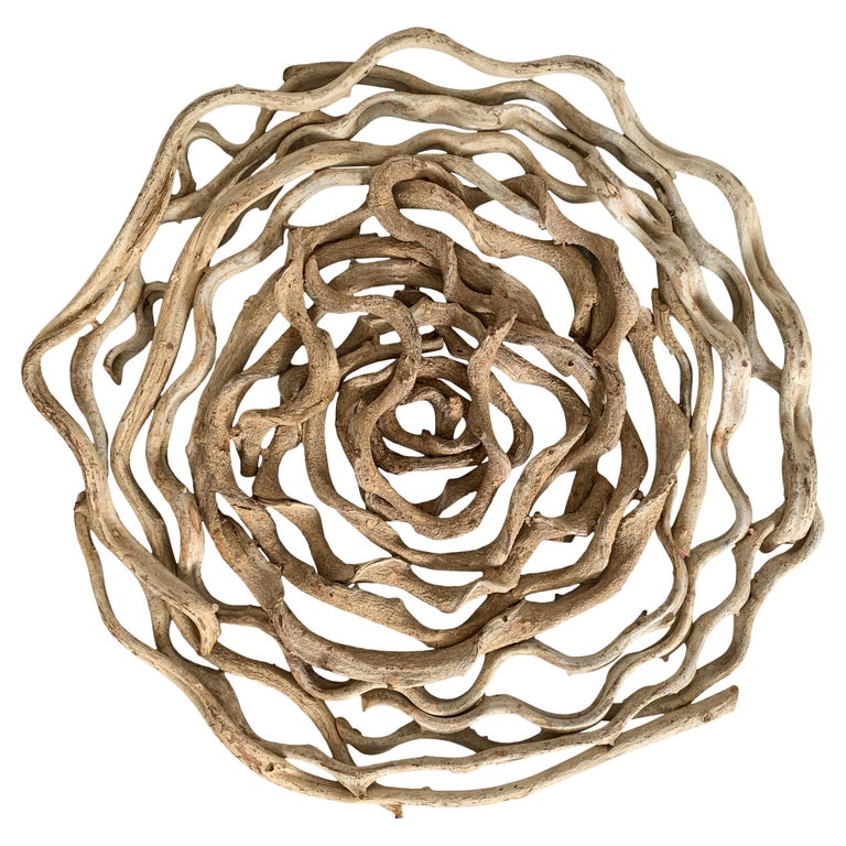 Twisted Liana Vine Wall Art at 1stDibs