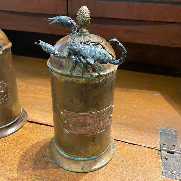 Two Antique Copper and Bronze Florentine Alchemical Laboratory Jars For ...