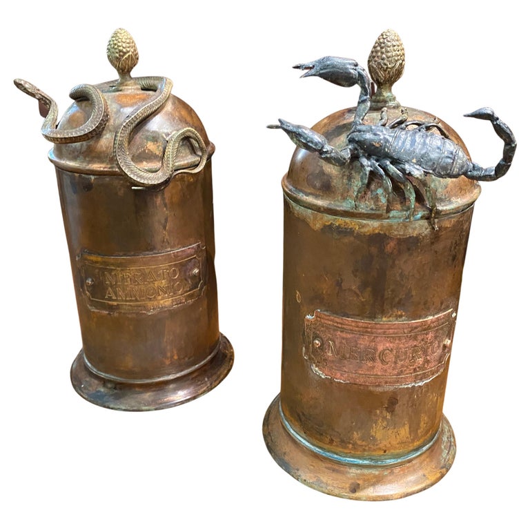 Two Antique Copper and Bronze Florentine Alchemical Laboratory Jars For ...