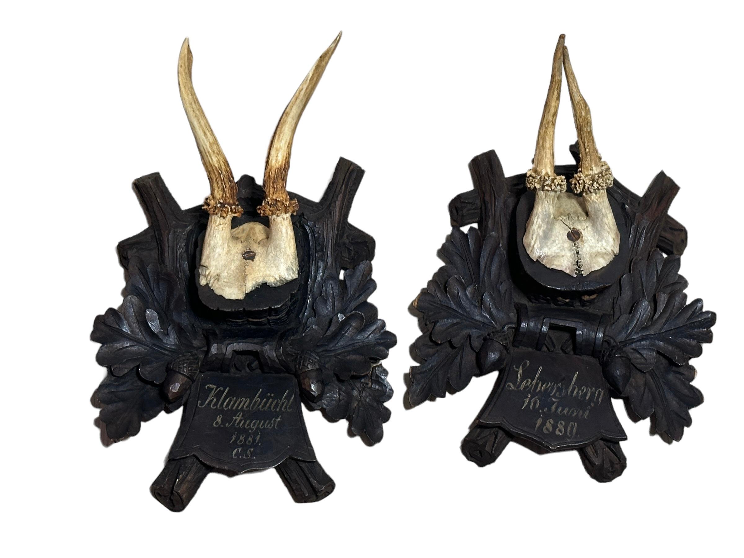 Two Deer Antler Mount Trophy Black Forest Carved Wood Plaque Austria ...