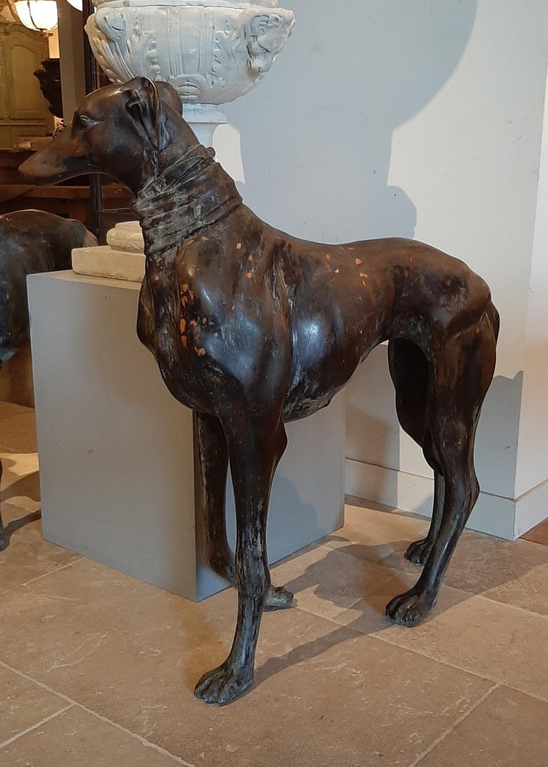 Two Early 20th Century Lifesize Bronze Dog Statues of the Royal ...