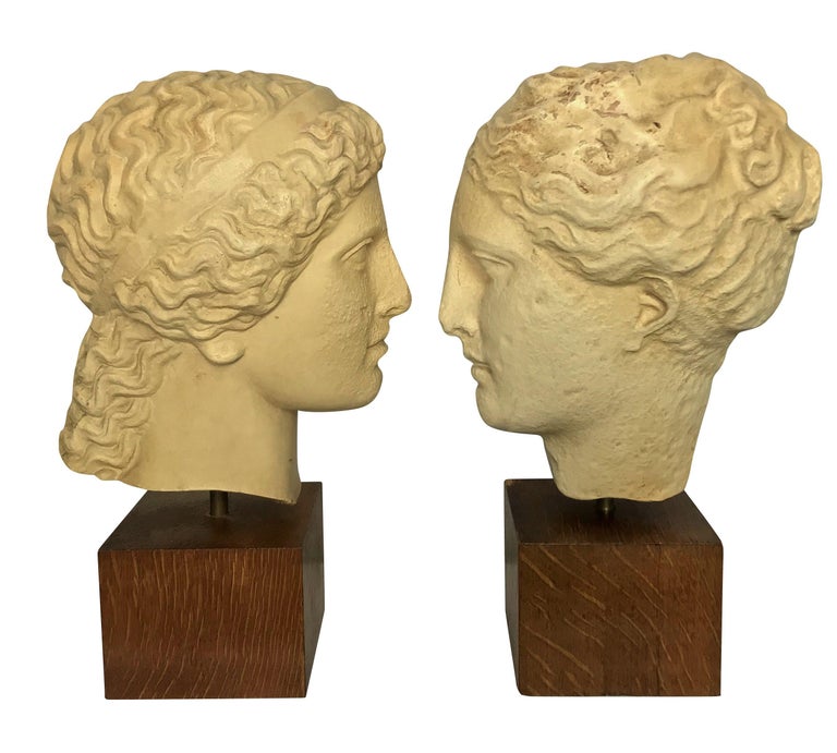 Two Life-Size Classical Plaster Heads For Sale at 1stDibs