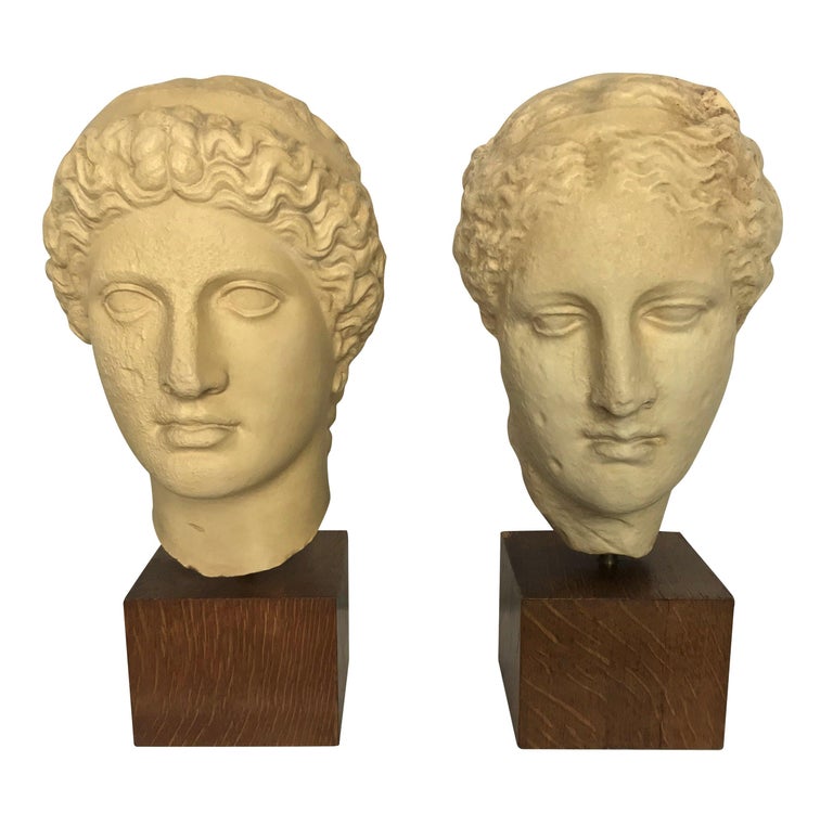 Two Life-Size Classical Plaster Heads For Sale at 1stDibs