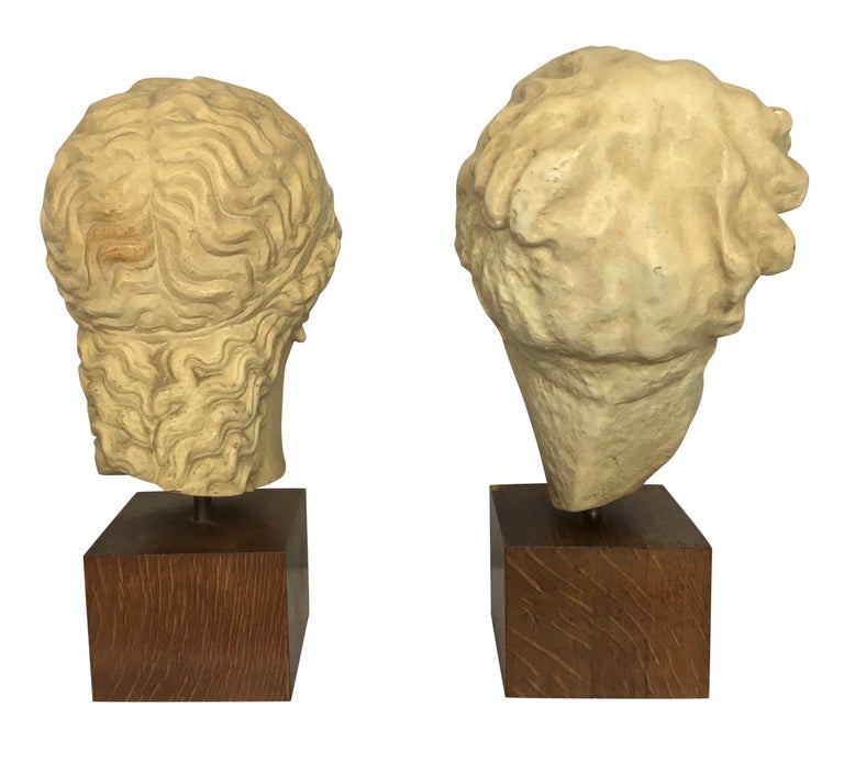 Two Life-Size Classical Plaster Heads For Sale at 1stDibs