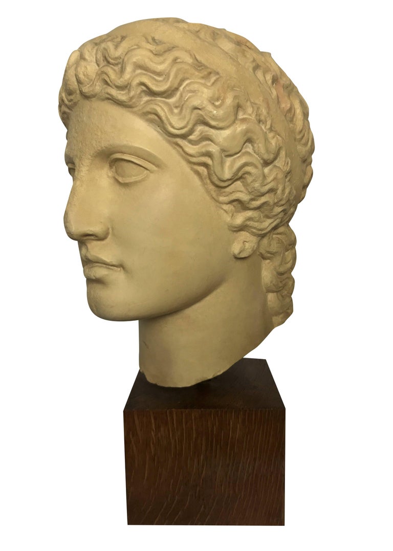 Two Life-Size Classical Plaster Heads For Sale at 1stDibs