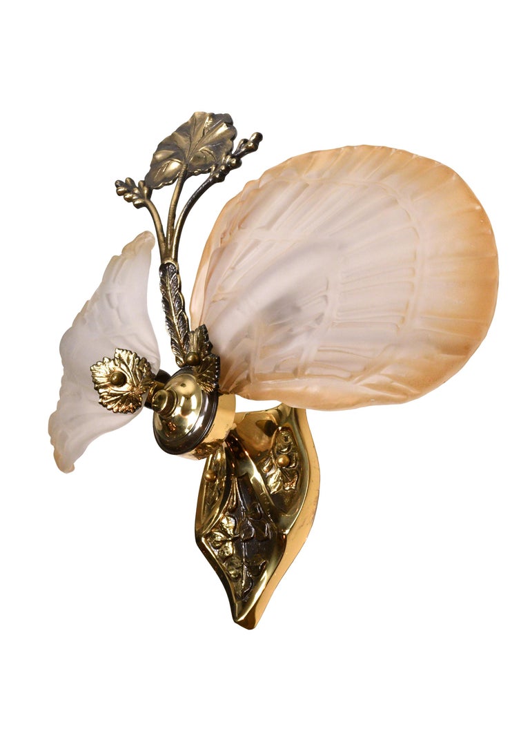 Two Light Leafy Brass Sconce with Shell Shades at 1stDibs