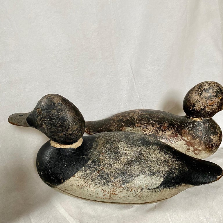 Two Mason Broadbill Duck Decoys at 1stDibs | mason duck decoy ...