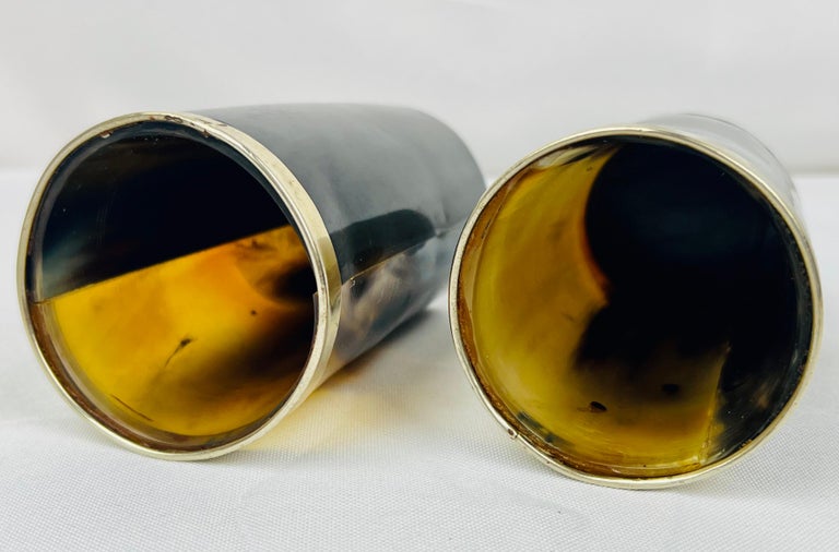 Two Natural Horn Cups with Silvered Rims For Sale at 1stDibs