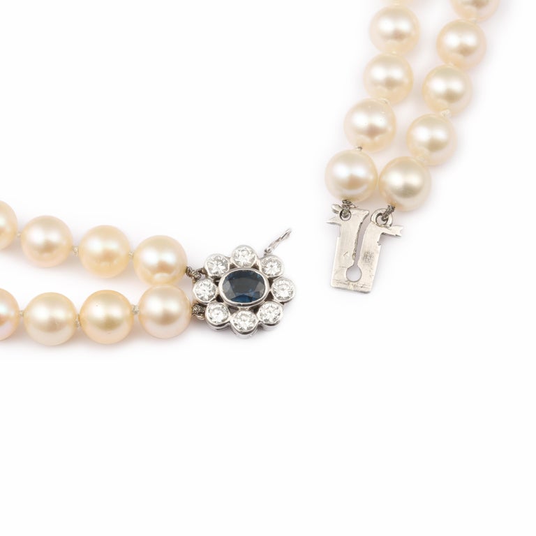Two Rows of Pearl Sapphire Diamonds 18 Carat White Gold Necklace at 1stDibs