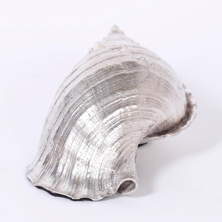 Two Silver Plated Metal Seashells at 1stDibs