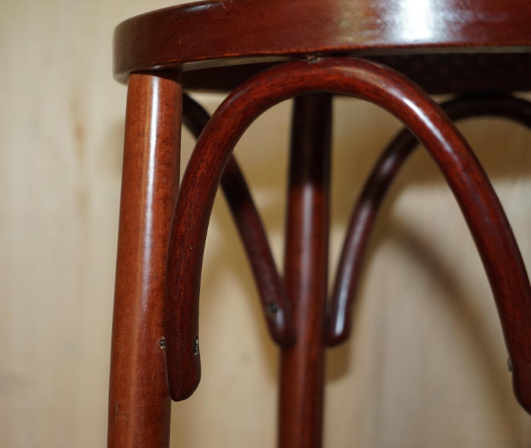 Two Thonet Style Bentwood Tall Kitchen Bar Stools with Elegant Frames 2 ...