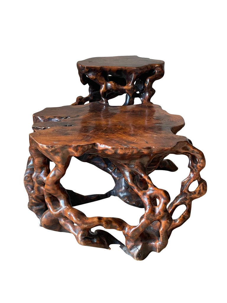Organically Shaped Two Tiered Root Coffee Table, France, Mid Century ...