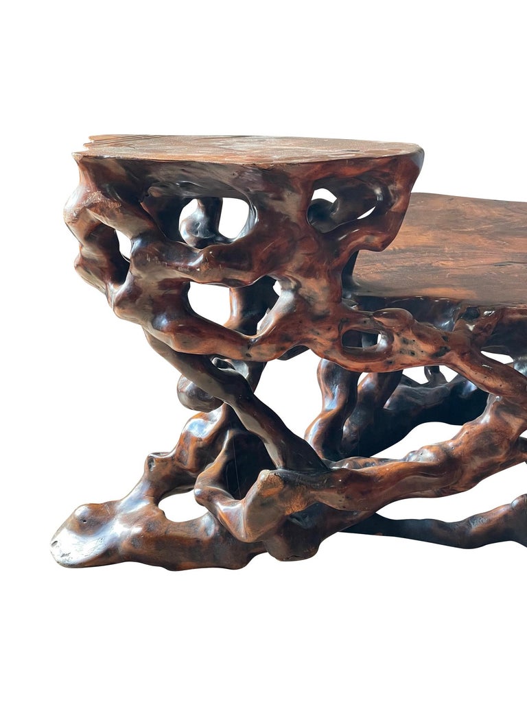 Organically Shaped Two Tiered Root Coffee Table, France, Mid Century ...