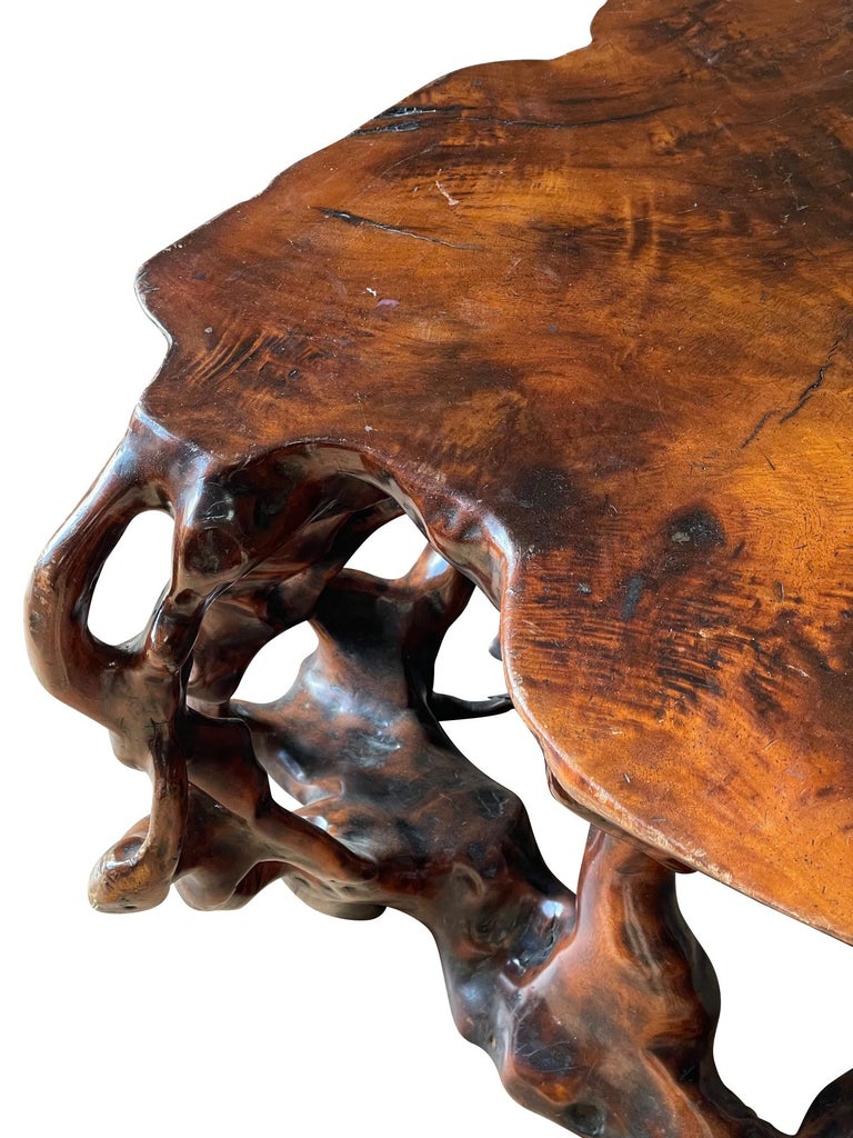 Organically Shaped Two Tiered Root Coffee Table, France, Mid Century ...