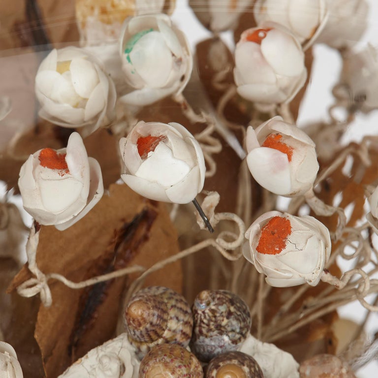 Two Victorian Shell Flower Arrangements in Glass Cases at 1stDibs
