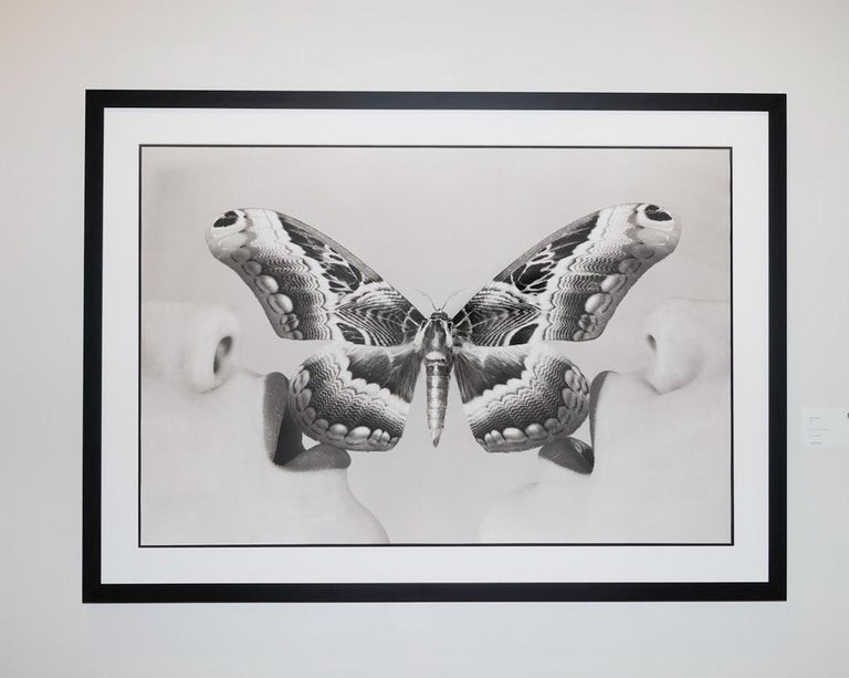 Tyler Shields - Butterfly For Sale at 1stDibs