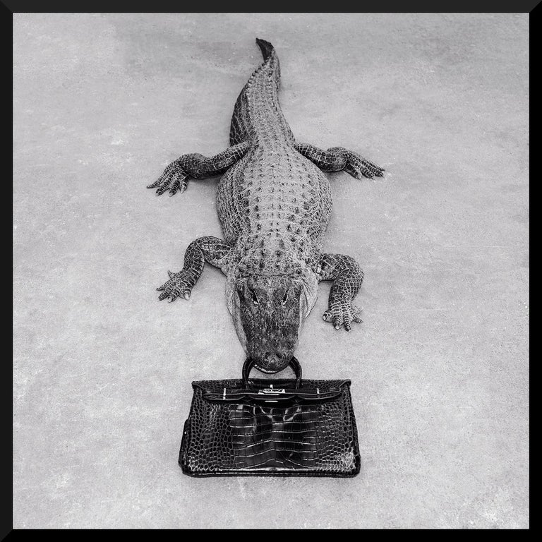 Tyler Shields - "Gator Birkin Monochrome" For Sale at 1stDibs