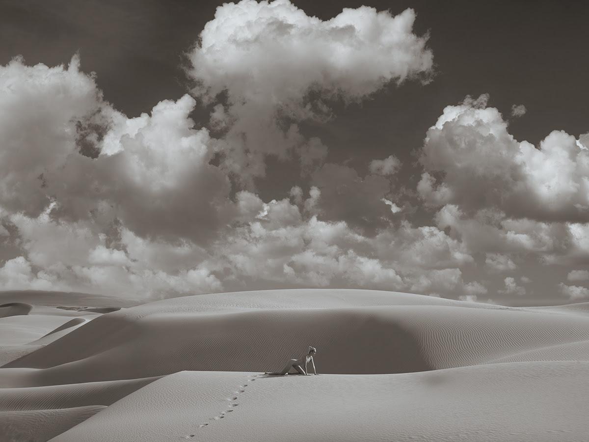 Tyler Shields - Lioness (63" x 84") For Sale at 1stDibs