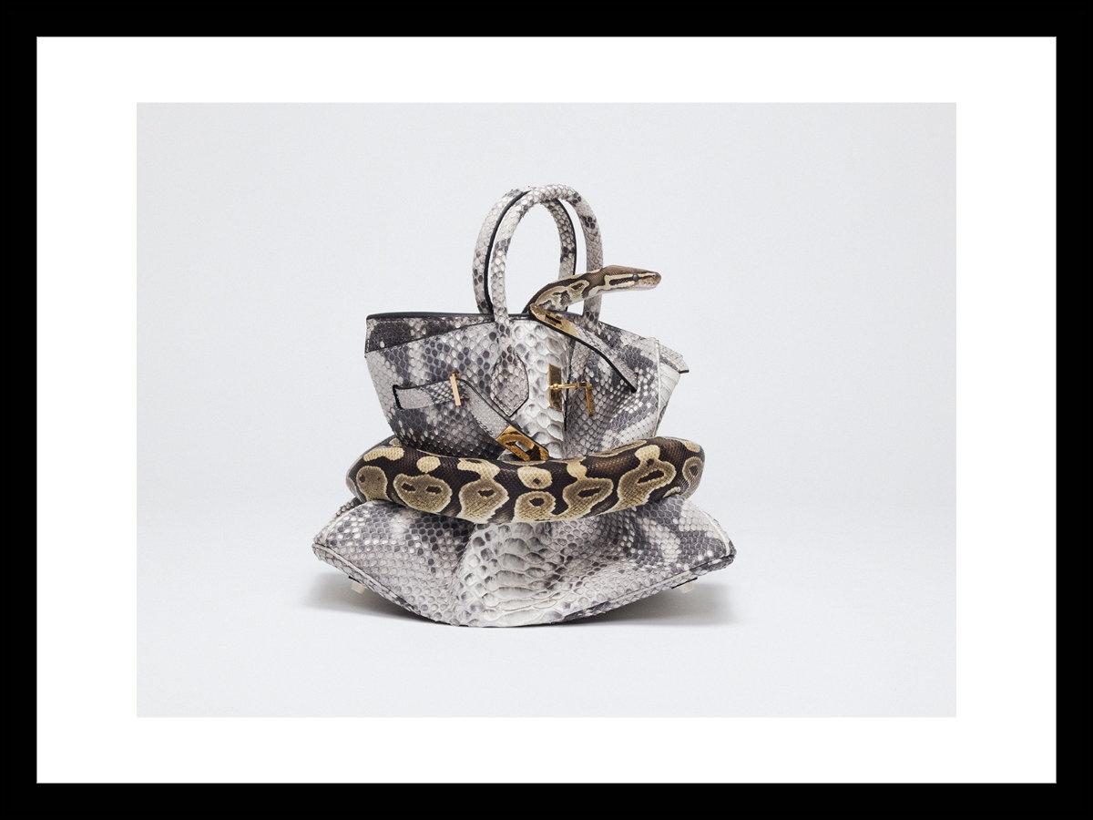 Luster Still-life Photography - 68 For Sale at 1stDibs