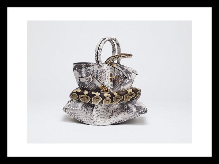 Tyler Shields - Python Birkin II (Framed) For Sale at 1stDibs