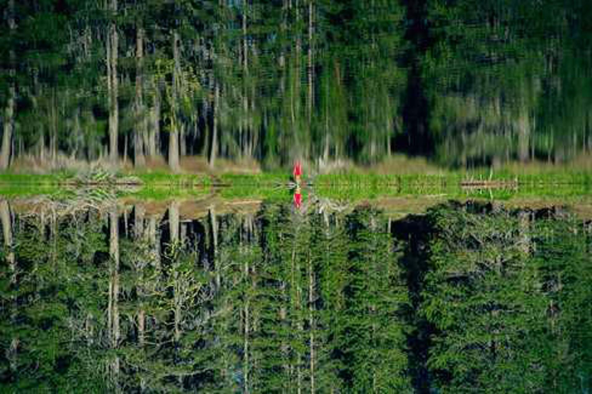 Tyler Shields - Tyler Shields, 'Champagne Kiss', 2013 For Sale at 1stDibs