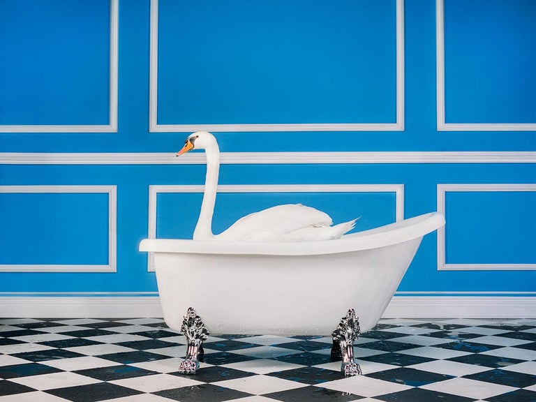 Tyler Shields - The Swan (56" x 72") For Sale at 1stDibs