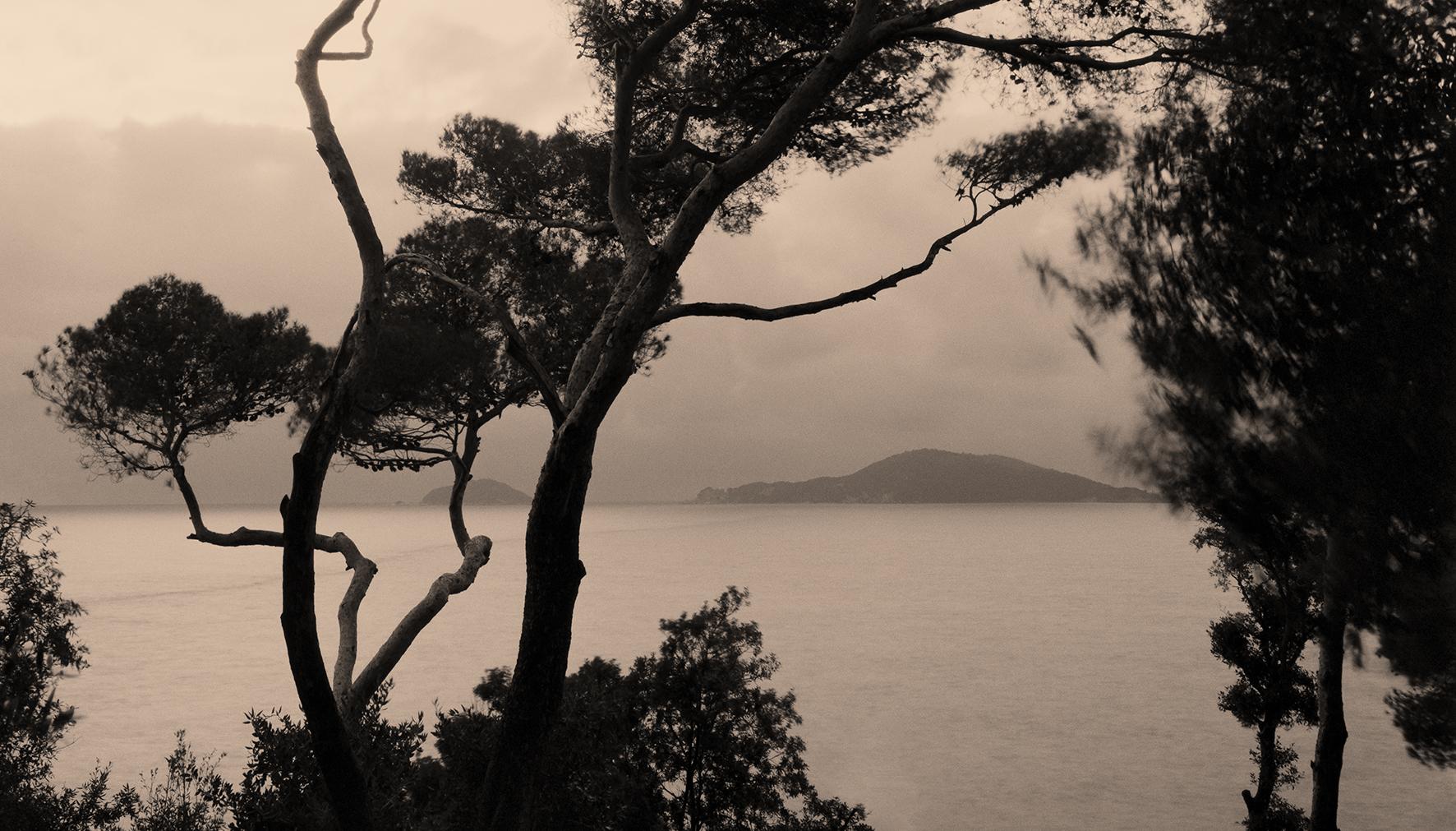 Ugne Pouwell - Currents For Sale at 1stDibs