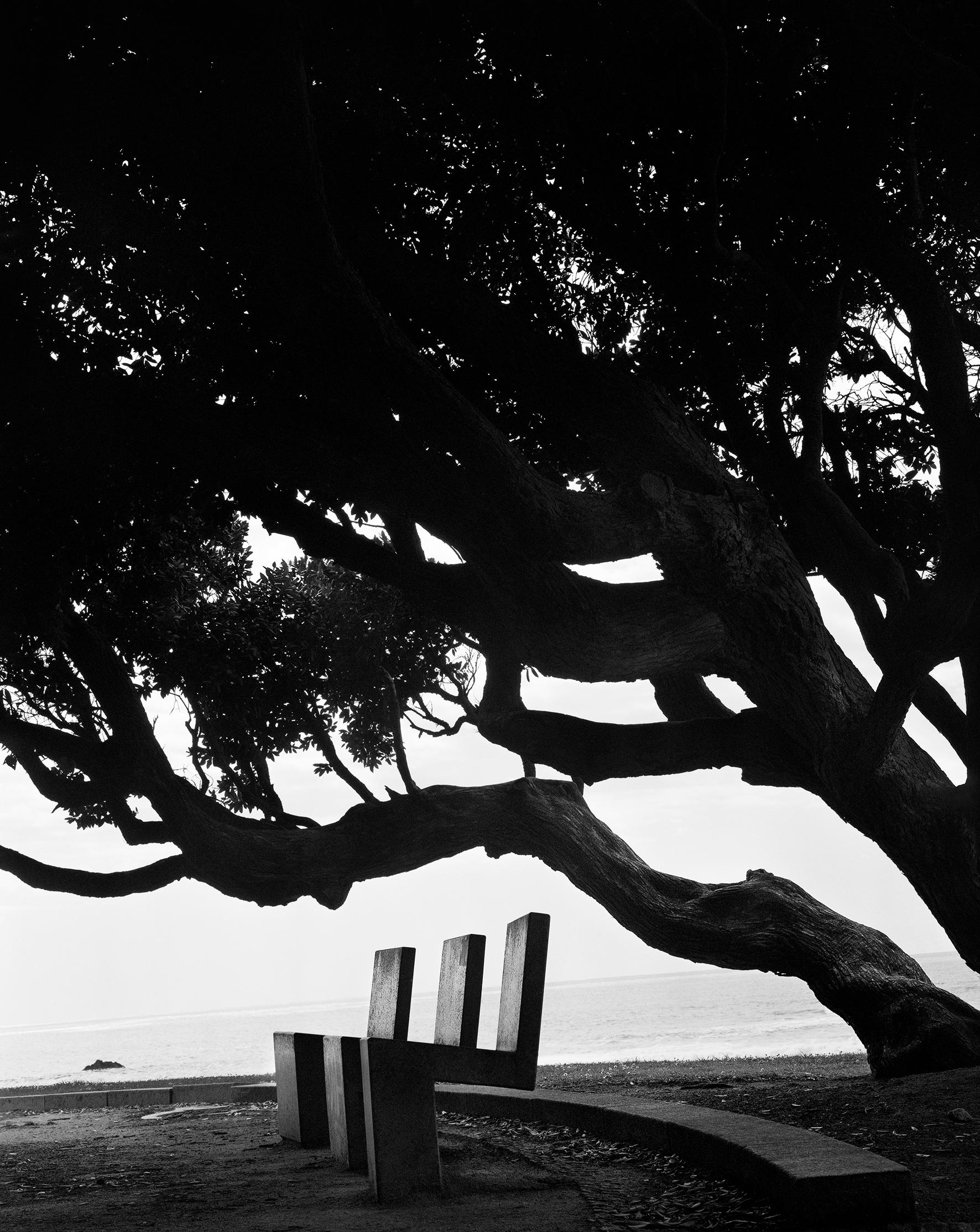 Abstract Expressionist Photography - 140 For Sale at 1stDibs