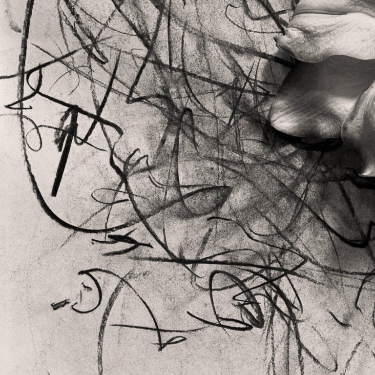 Ugne Pouwell - 'Lilly in Charcoal no.2' abstract expressionism ...