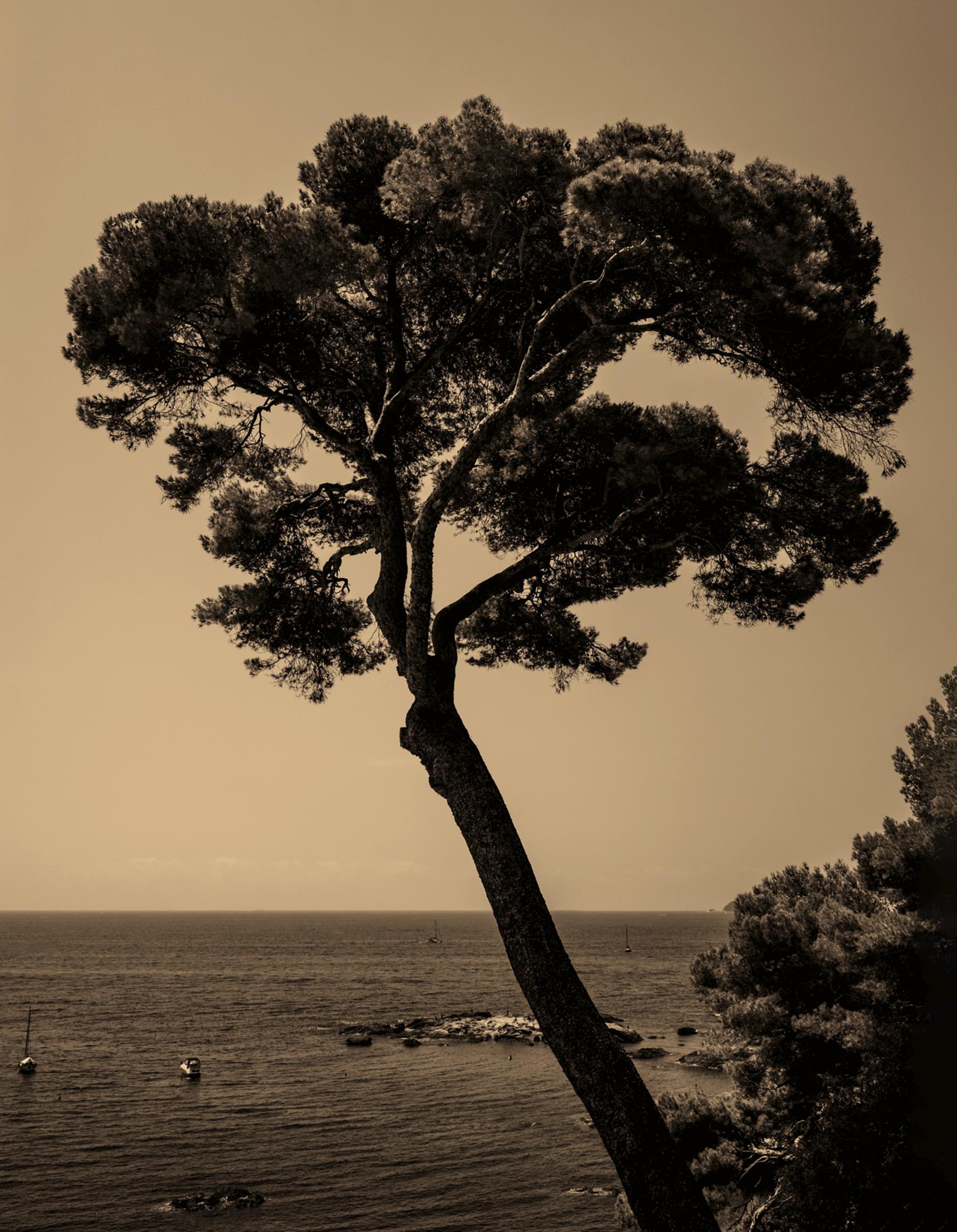 Ugne Pouwell - Lilly For Sale at 1stDibs