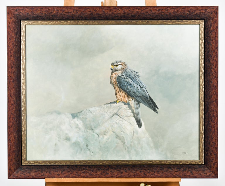 Ulco Glimmerveen - Lurking Falcon - Ulco Glimmerveen - biological ...