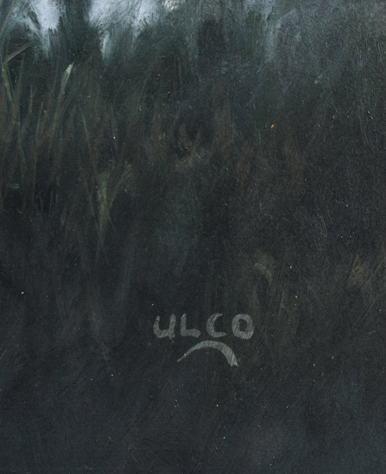 Ulco Glimmerveen - Snowy owl - Ulco Glimmerveen - biological ...