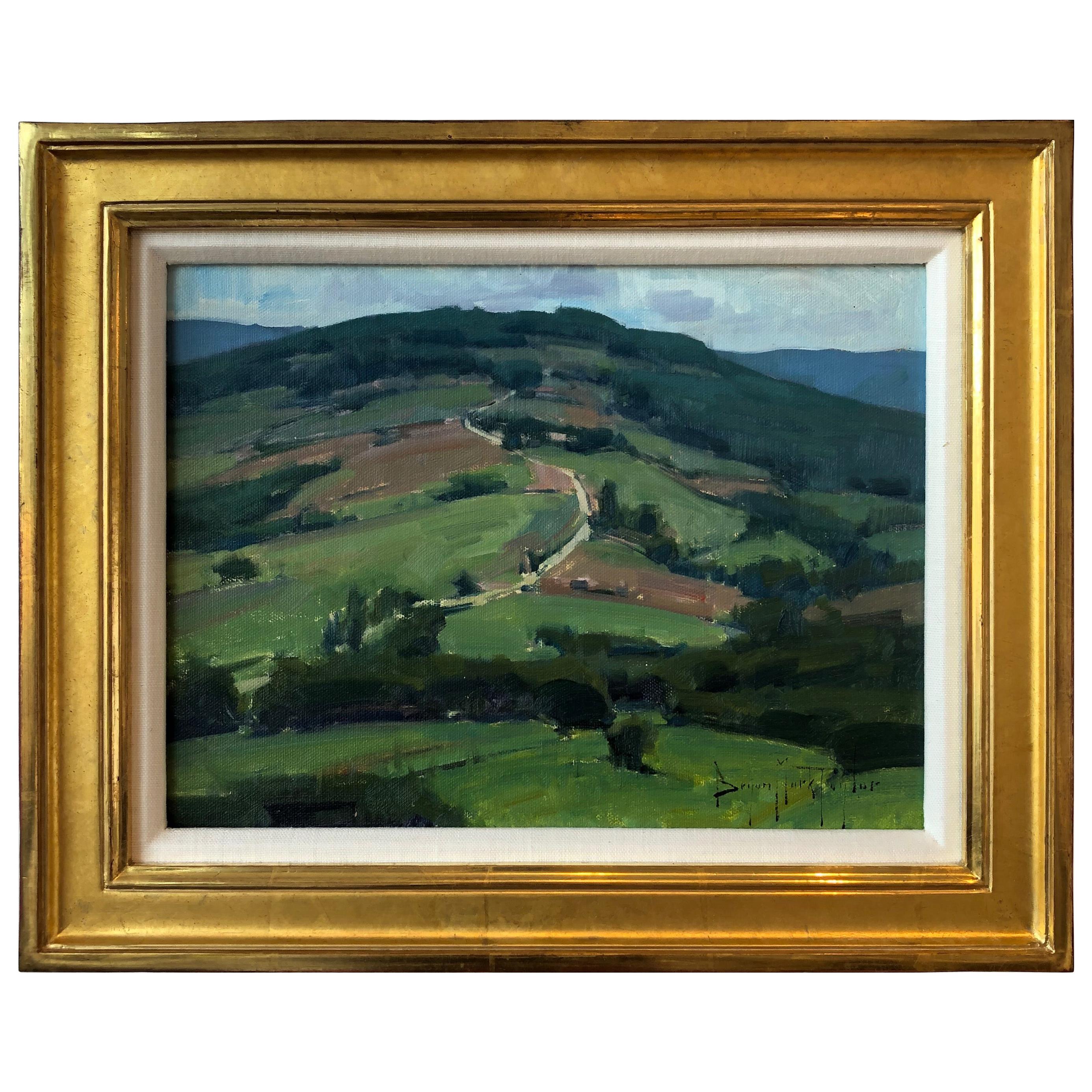 Umbrian Landscape Painting by Bryan Mark Taylor For Sale at 1stDibs