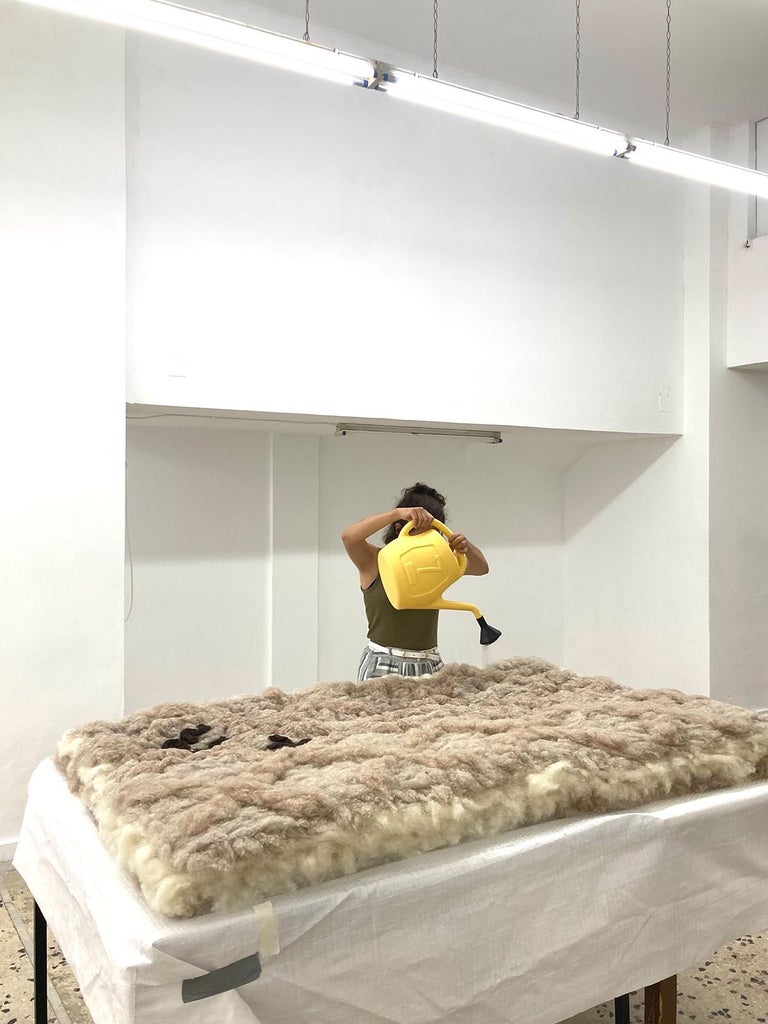 under the Seven Planets Parade Célia Picard and Hannes Schreckensberger ...