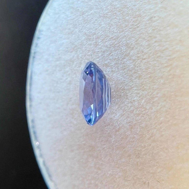 Unique Fine Ceylon Blue Violet Sapphire 0.82ct Oval Loose Cut Blue Rare ...