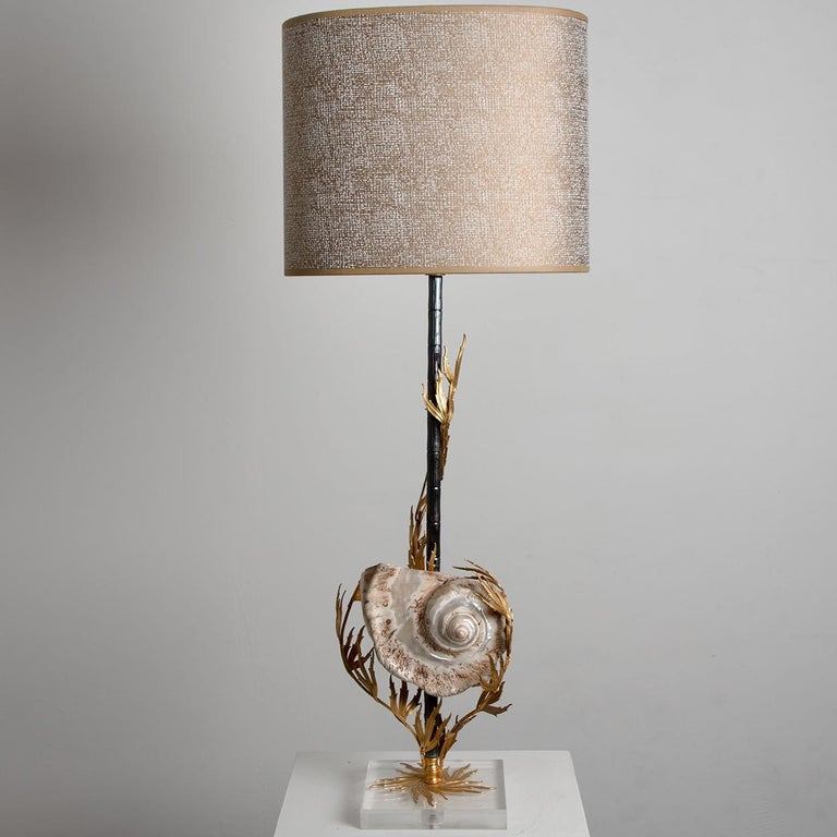 Unique Large Shell Table Lamp with Brass Details For Sale at 1stDibs