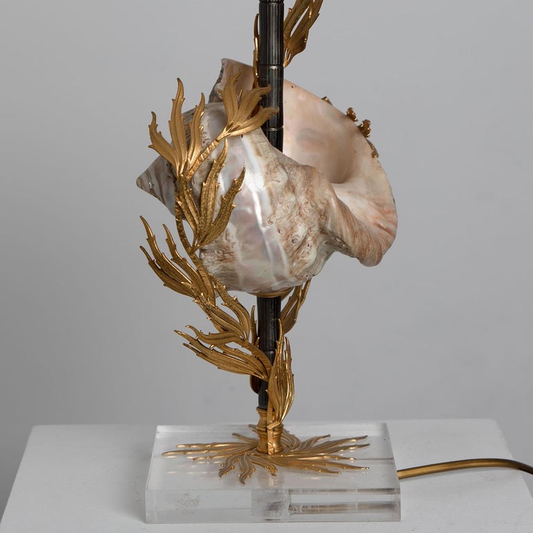 Unique Large Shell Table Lamp with Brass Details For Sale at 1stDibs
