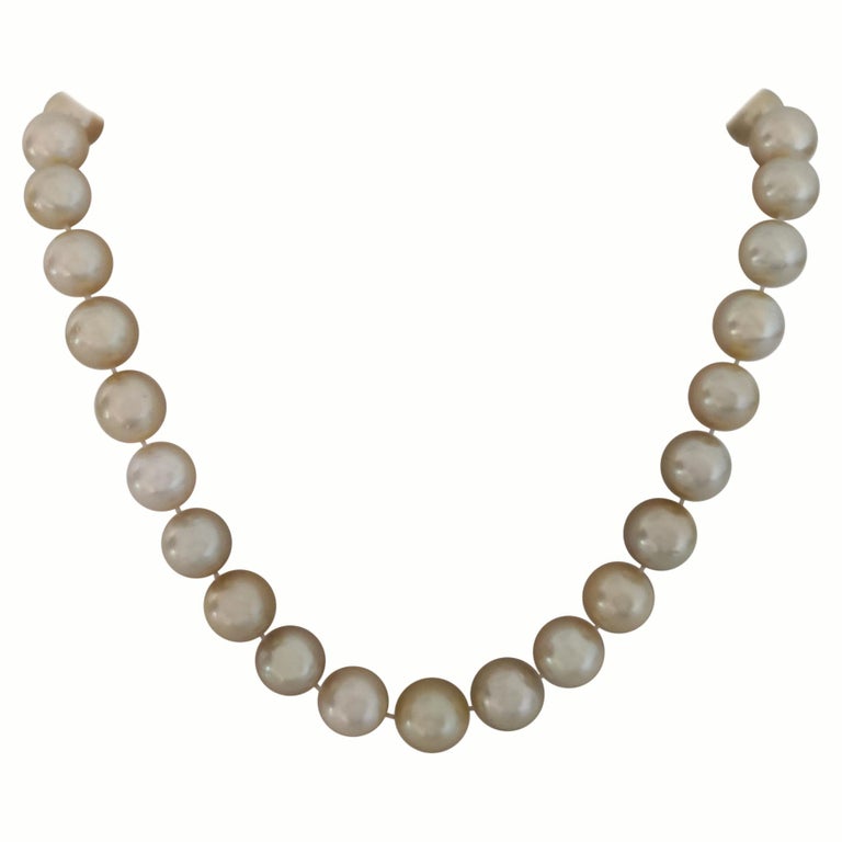 Unique Natural Champagne Color South Sea Pearl Necklace For Sale at 1stDibs