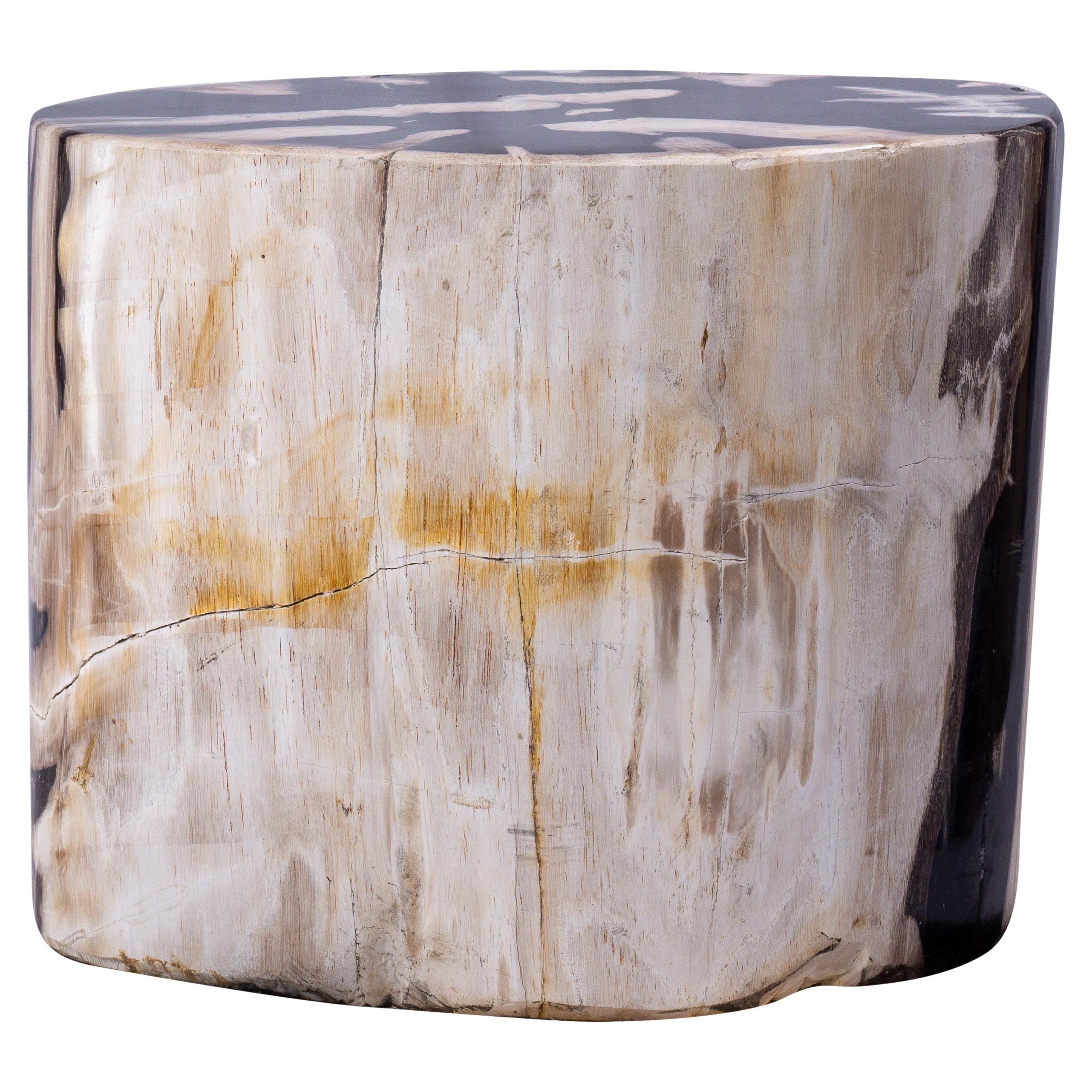 Petrified Wood Side Table For Sale at 1stDibs
