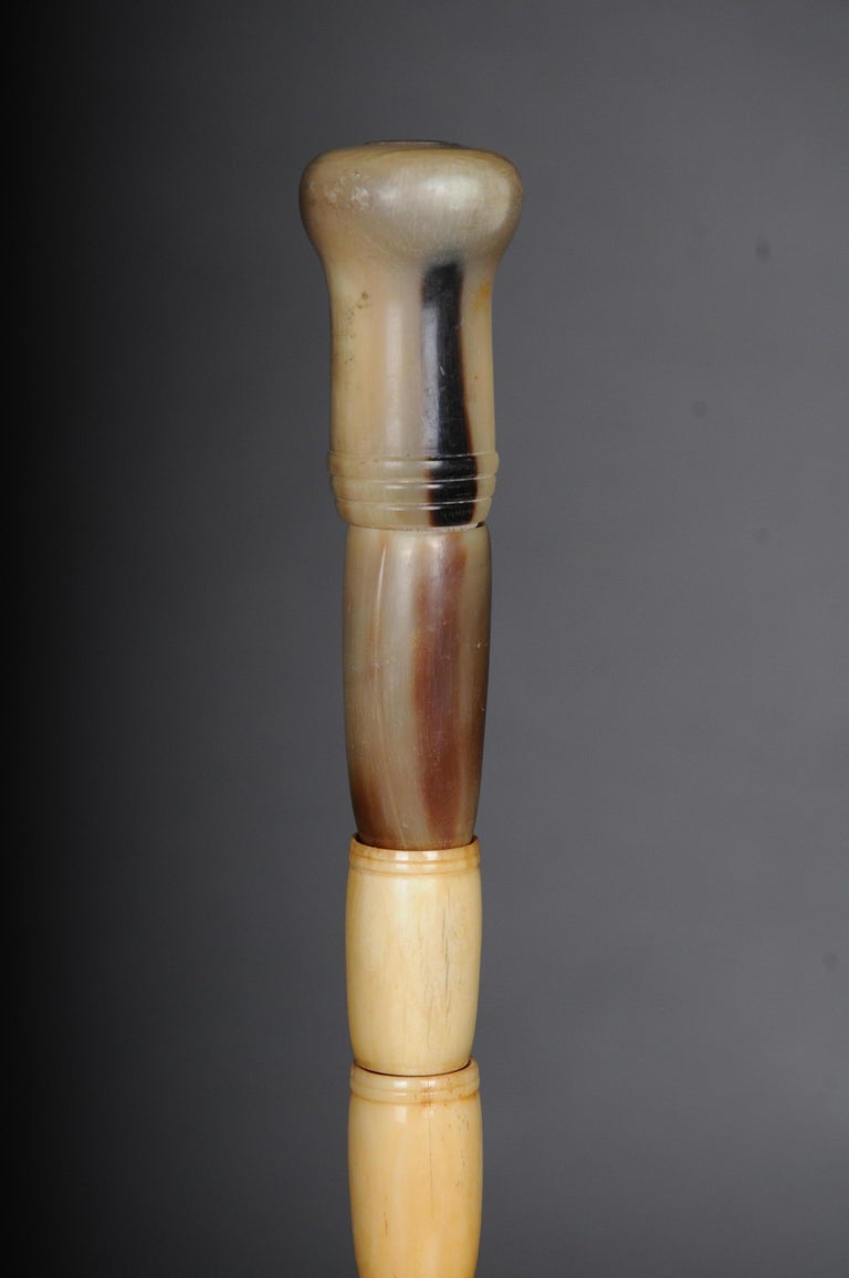 Unique Walking Stick / Strolling Stick 19th Century, Bone For Sale at ...