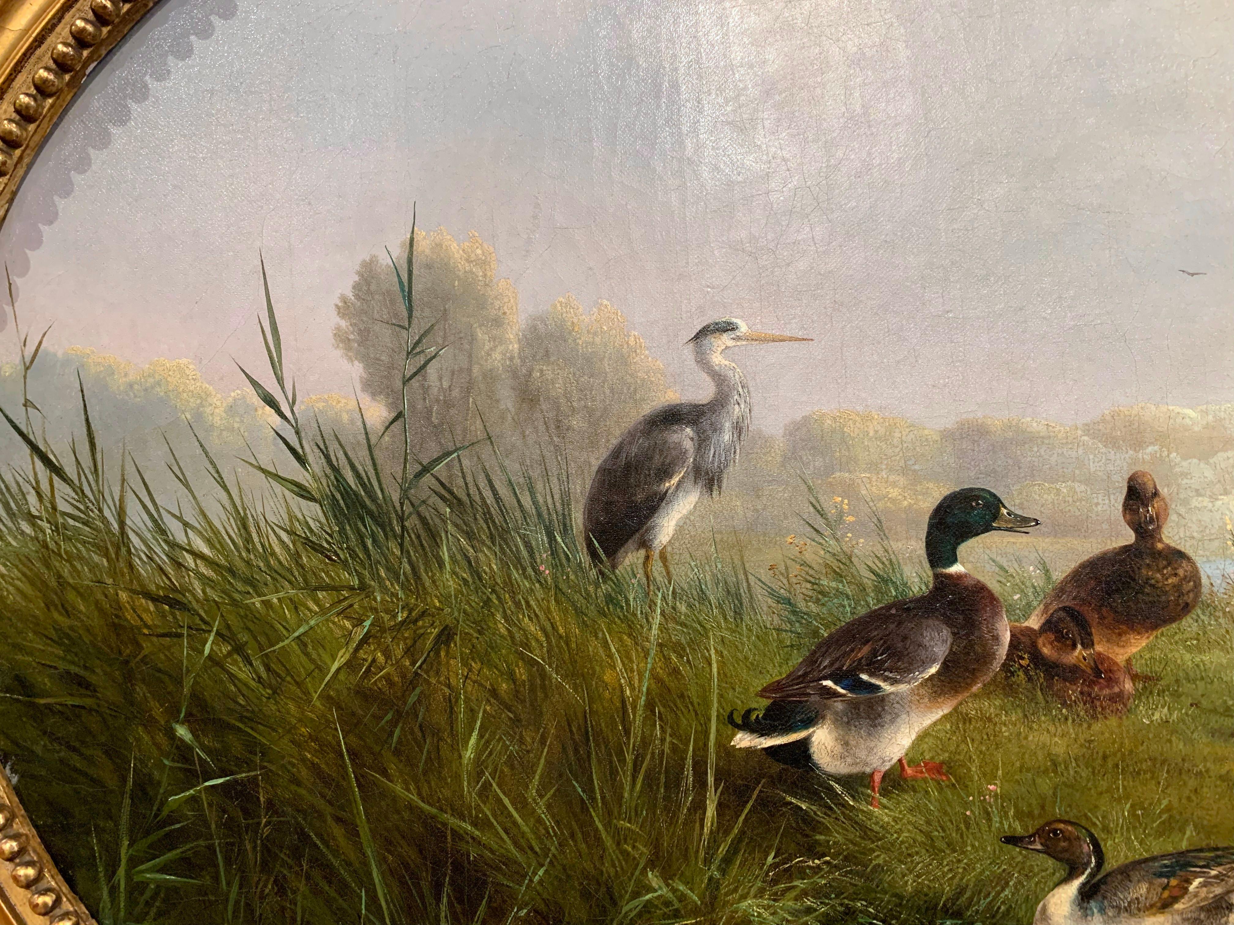 Unknown - 18th Century French Ducks and Heron Oil Painting in Oval Gilt ...