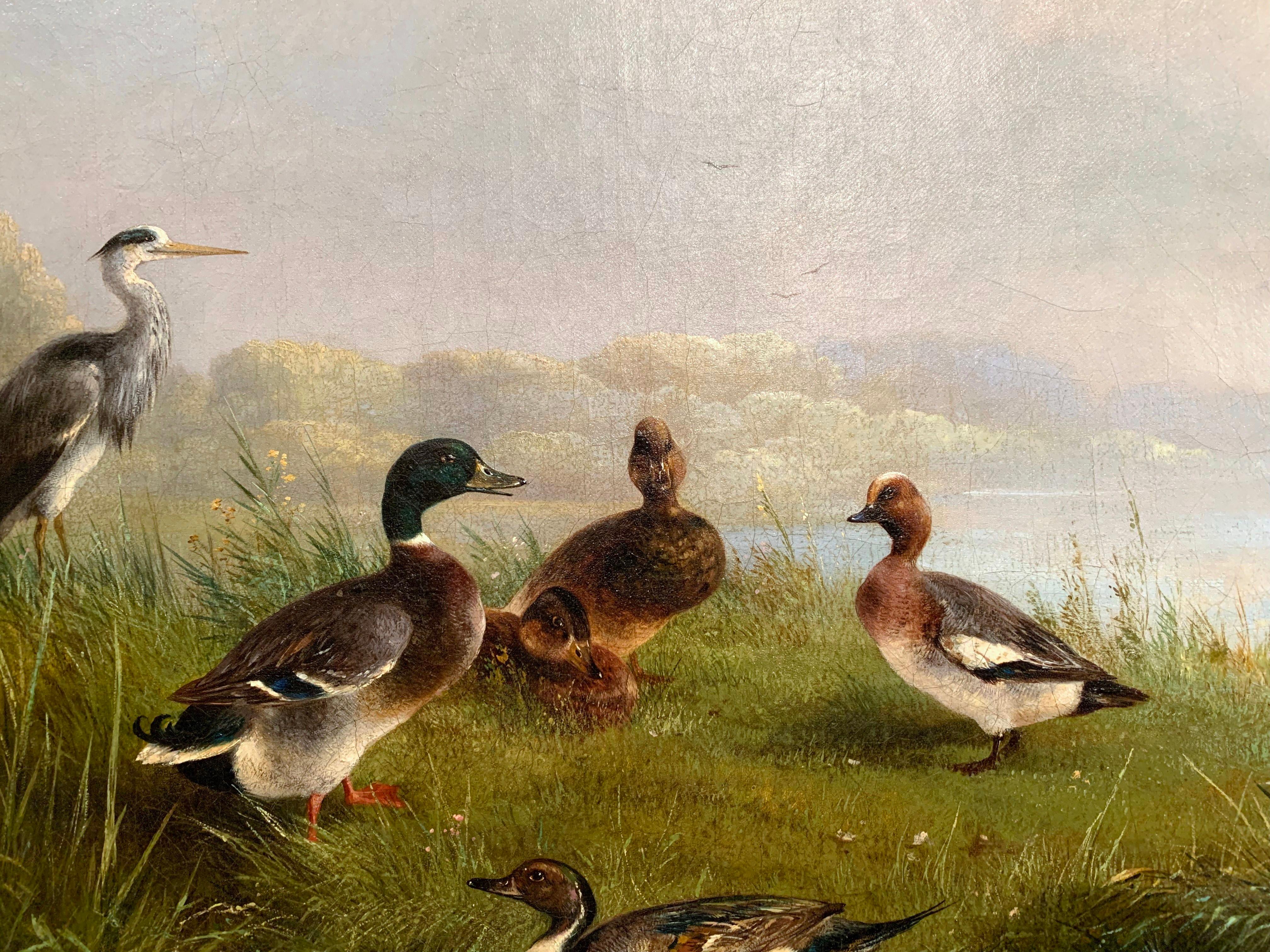 Unknown - 18th Century French Ducks and Heron Oil Painting in Oval Gilt ...
