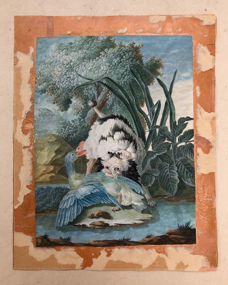 Unknown - Animal fight, 18th century gouache For Sale at 1stDibs