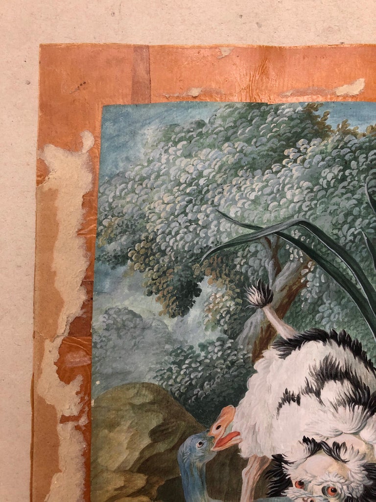 Unknown - Animal fight, 18th century gouache For Sale at 1stDibs