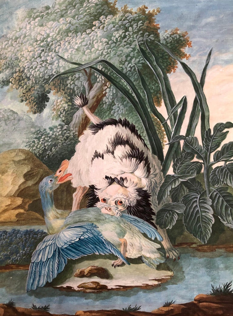 Unknown - Animal fight, 18th century gouache For Sale at 1stDibs