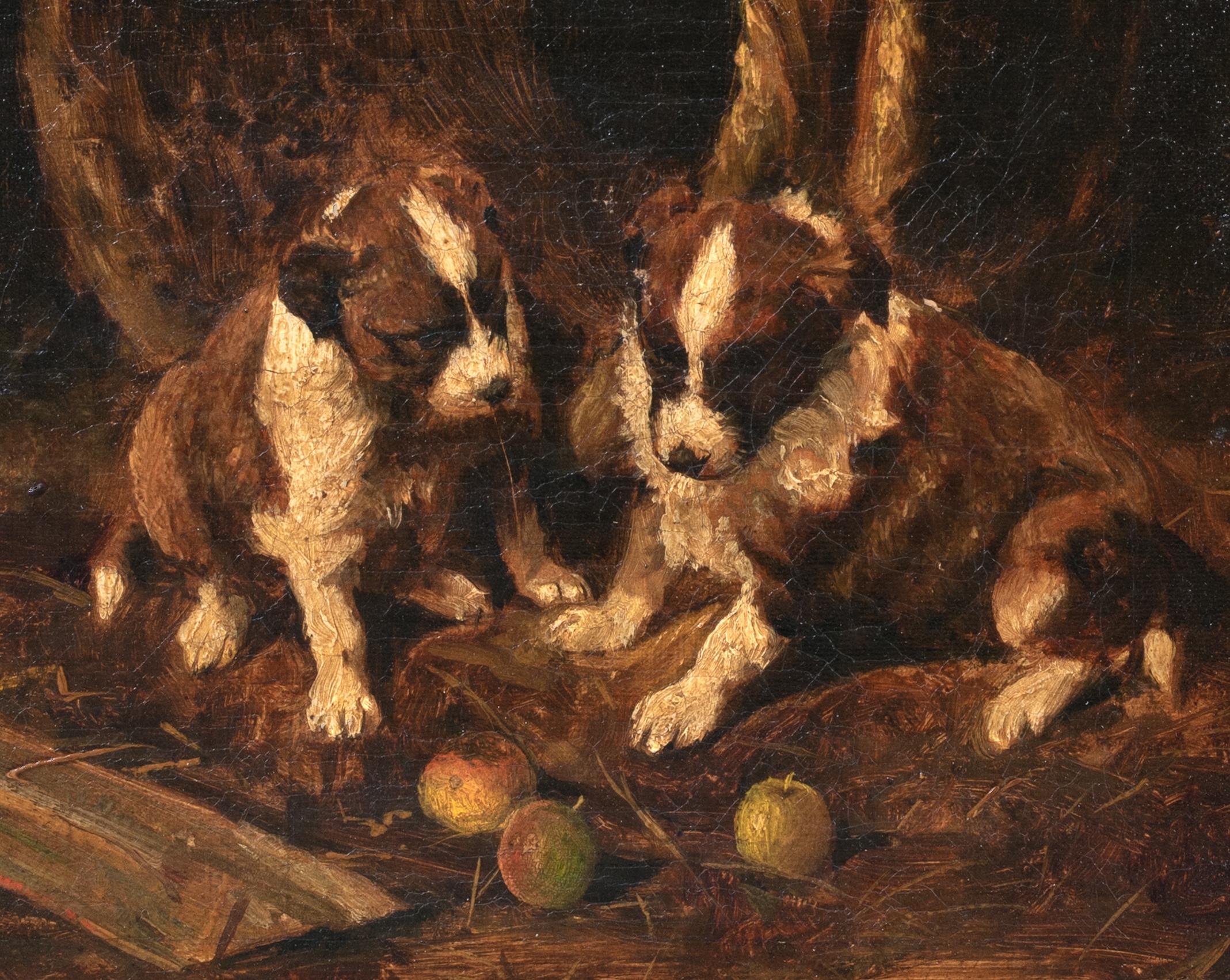 Unknown - Curiosity, 19th Century English School circa 1880 St Bernard ...