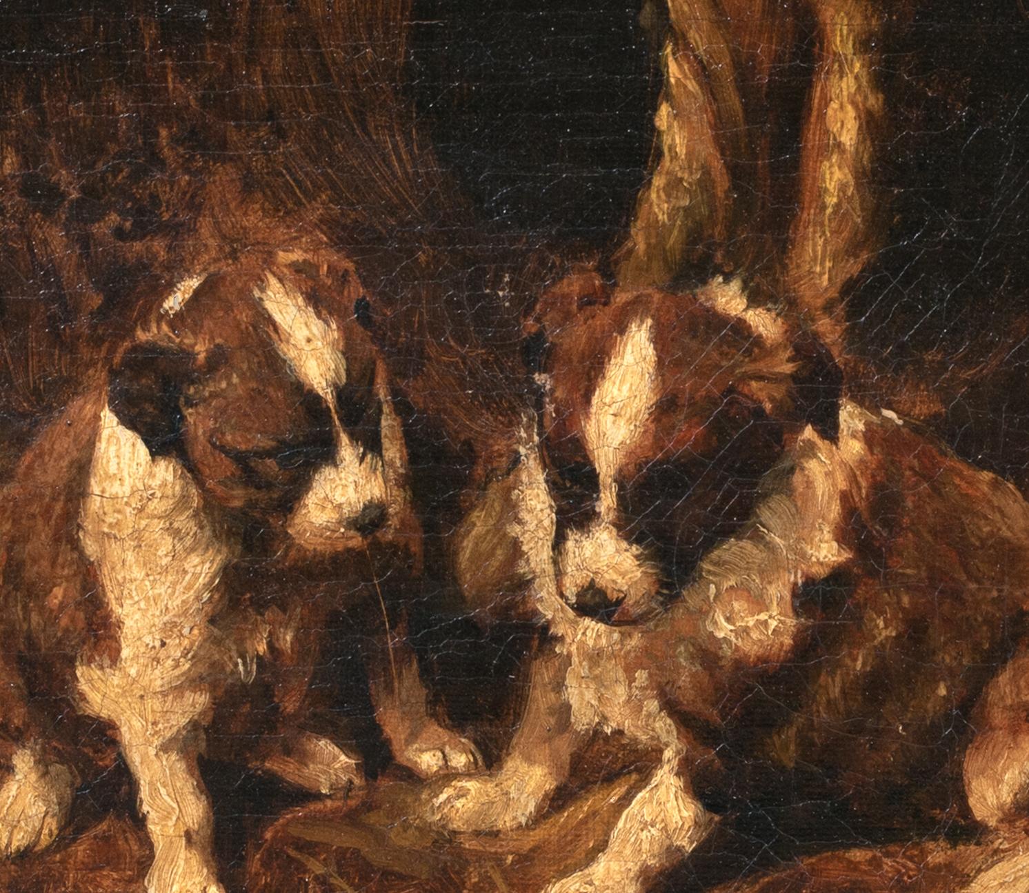 Unknown - Curiosity, 19th Century English School circa 1880 St Bernard ...