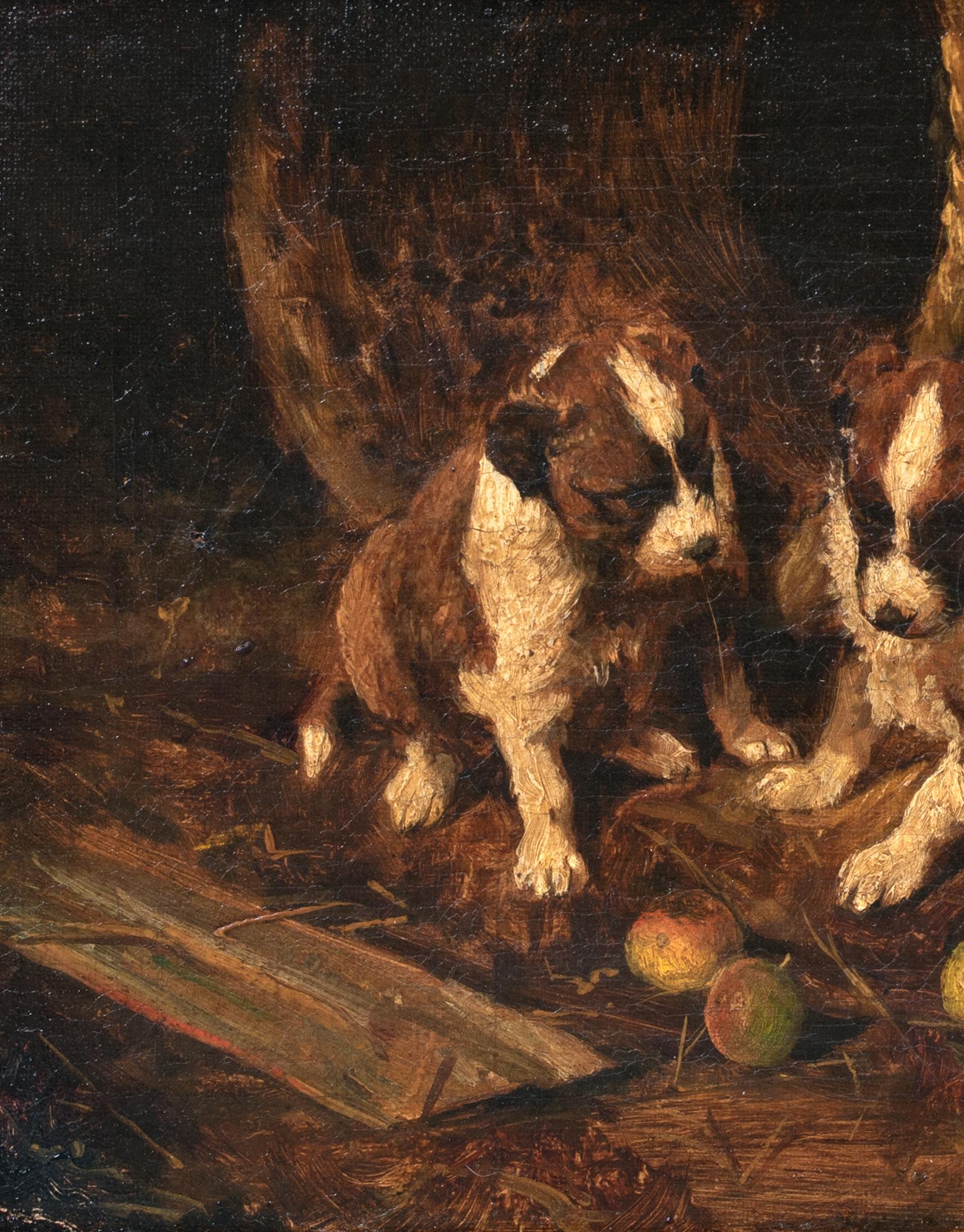 Unknown - Curiosity, 19th Century English School circa 1880 St Bernard ...